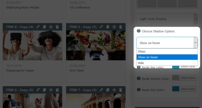 Choose Shadow Options – ct.shindiristudio.com